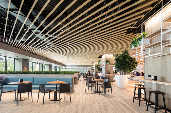 Northern Beaches Hospital - Forest Kitchen (Food Hall) - Silver Winner ...