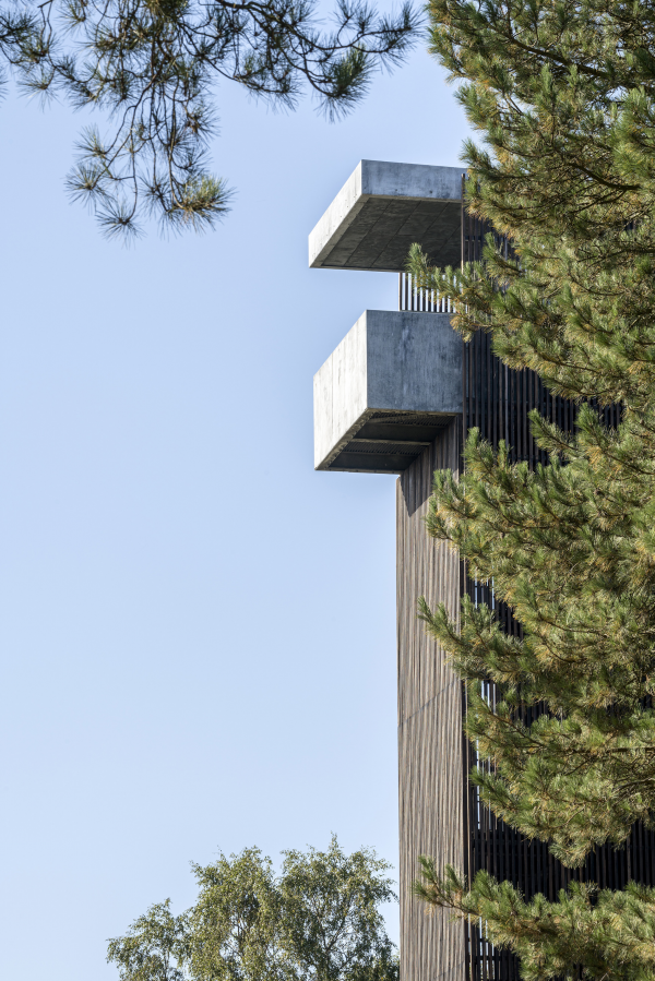 Sutton Hoo Viewing Tower - Gold Winner - LONDON Design Awards 2021