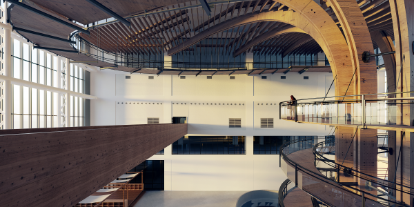 Babbuza Dreamfactory - Gold Winner - PARIS Design Awards 2022