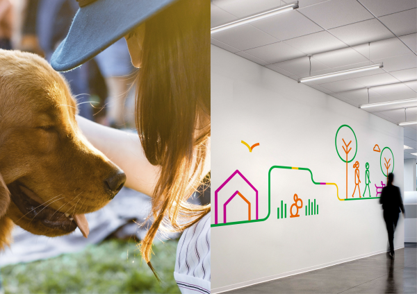 Petspiration – bringing joy to a group brand - Silver Winner ...