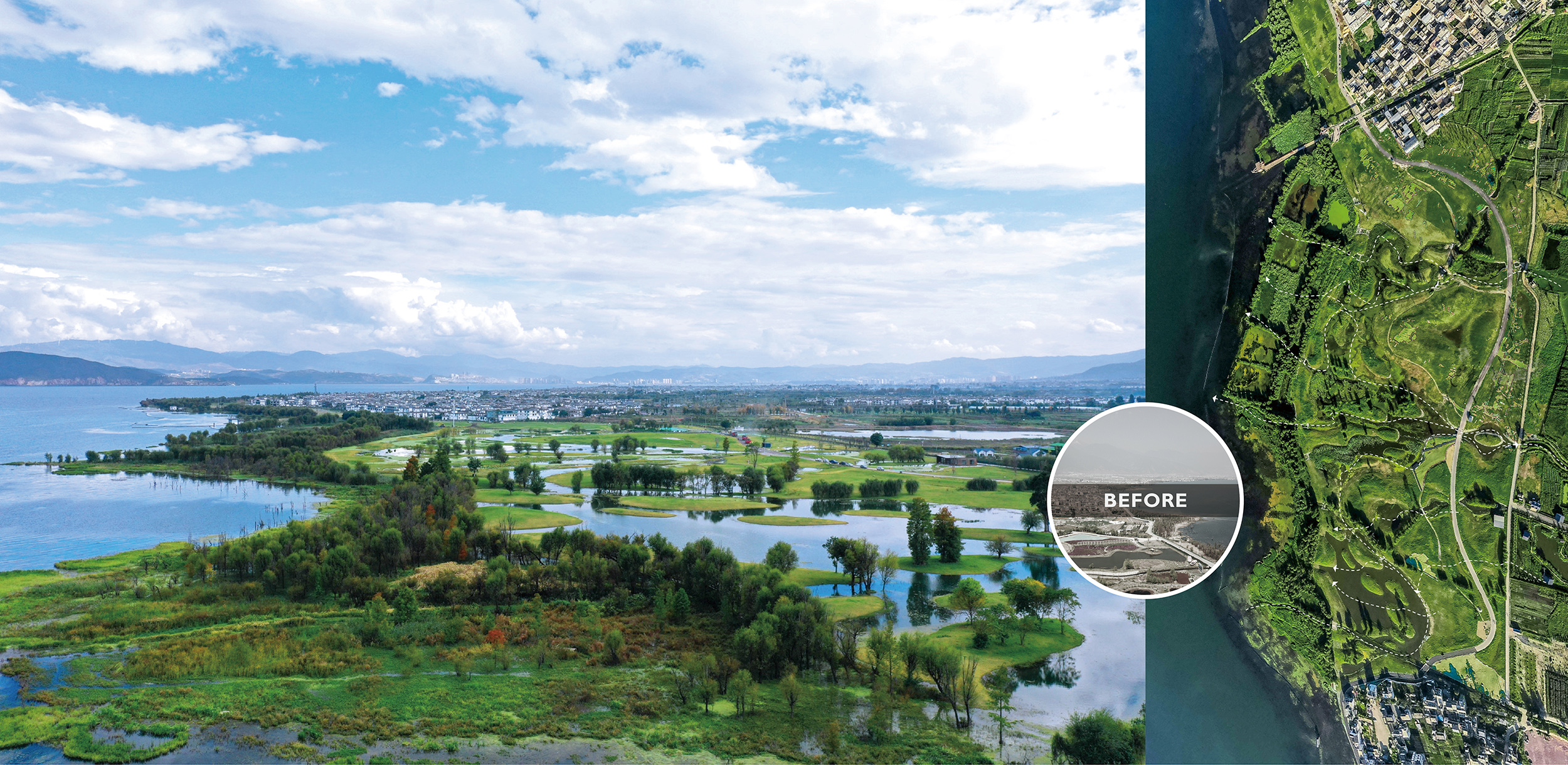 Reblooming Here: Erhai Lake Ecological Restoration Project