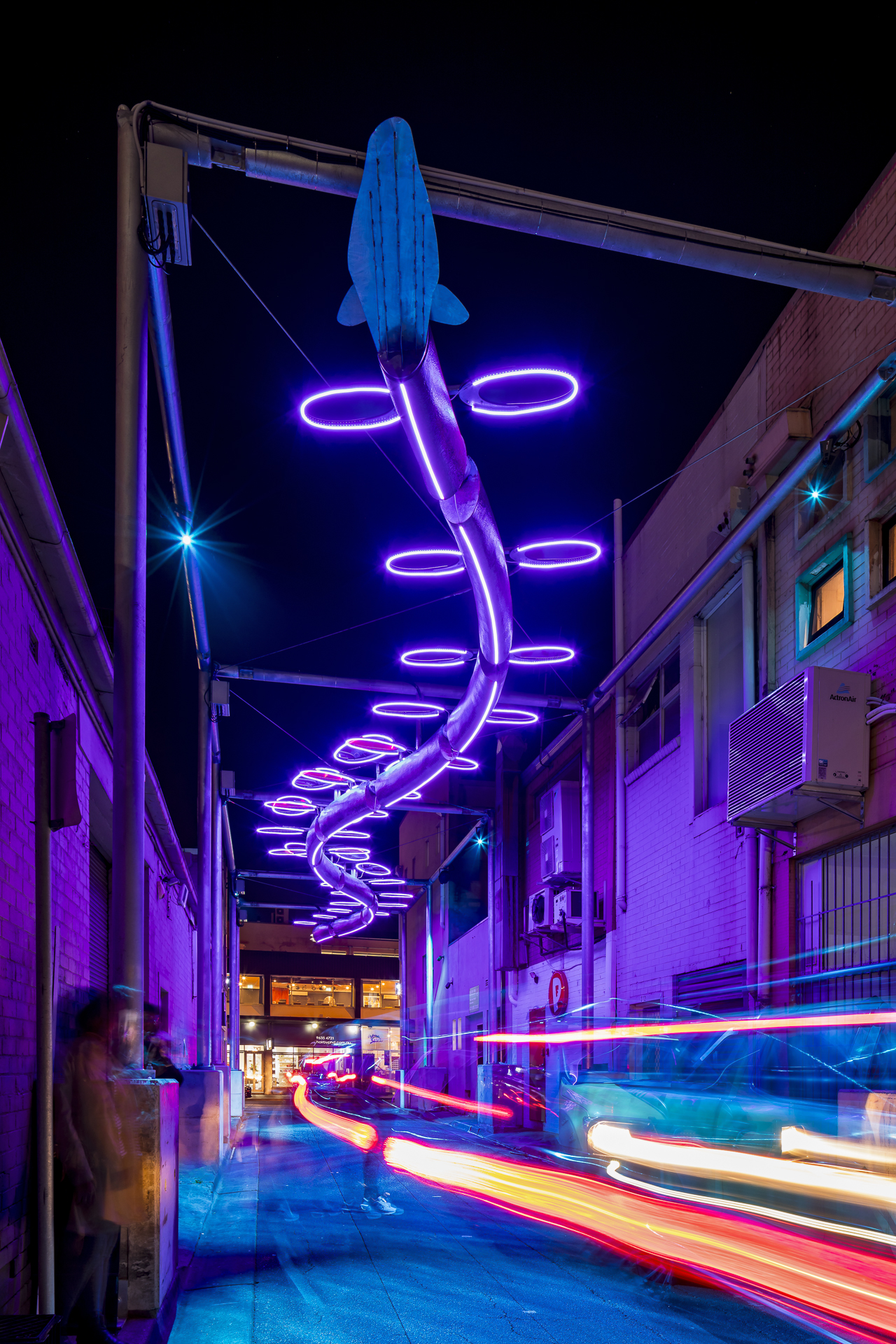 Burra burawa birrung gili (eel above countless generations of starlight)