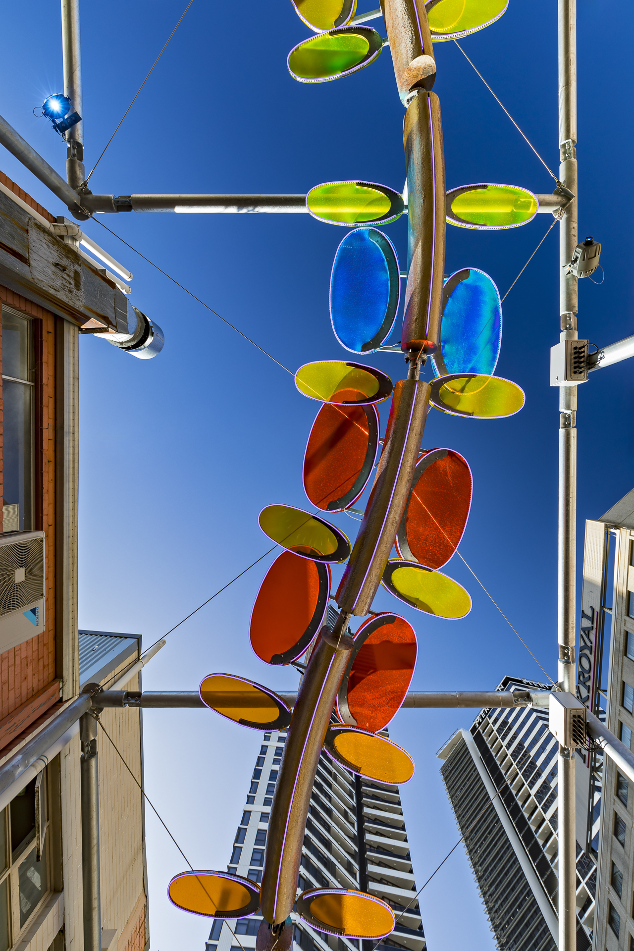 Burra burawa birrung gili (eel above countless generations of starlight ...