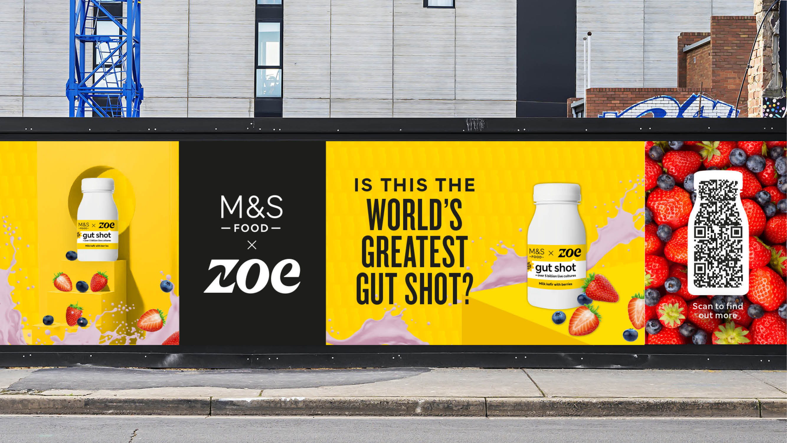 Leading the way to gut health with a bold brand identity