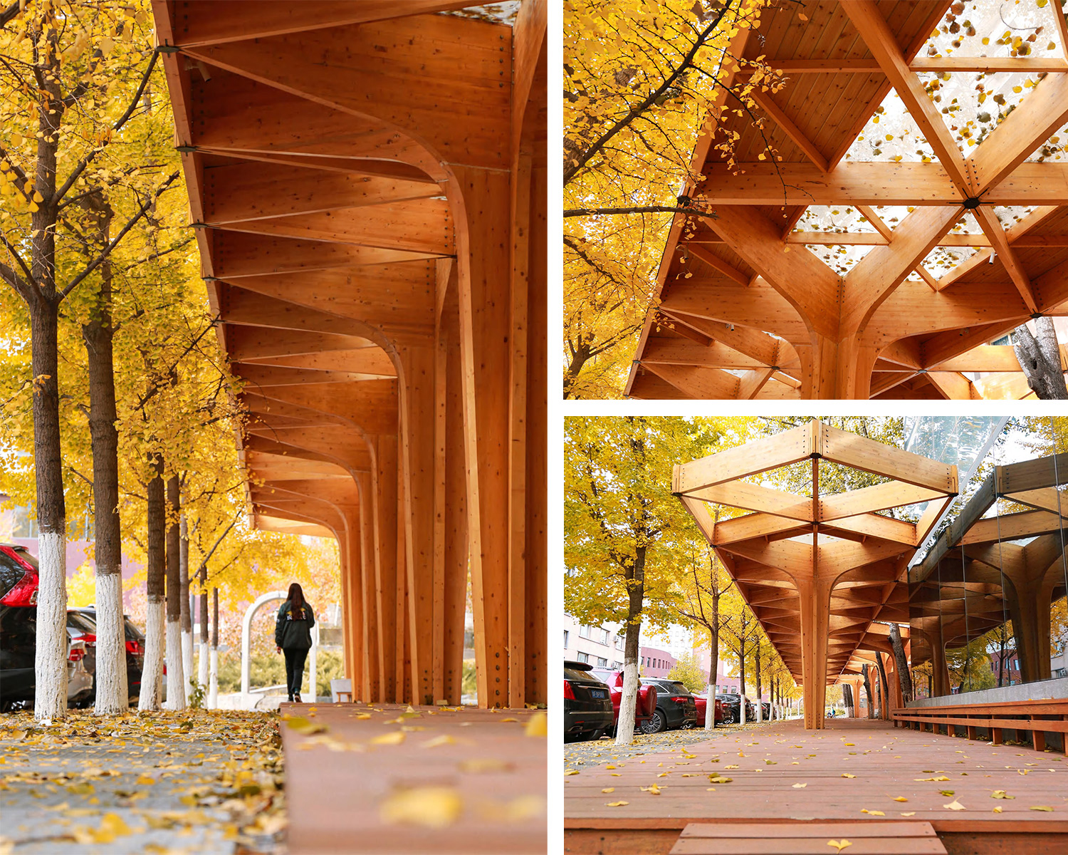 The Umbrella Pavilion