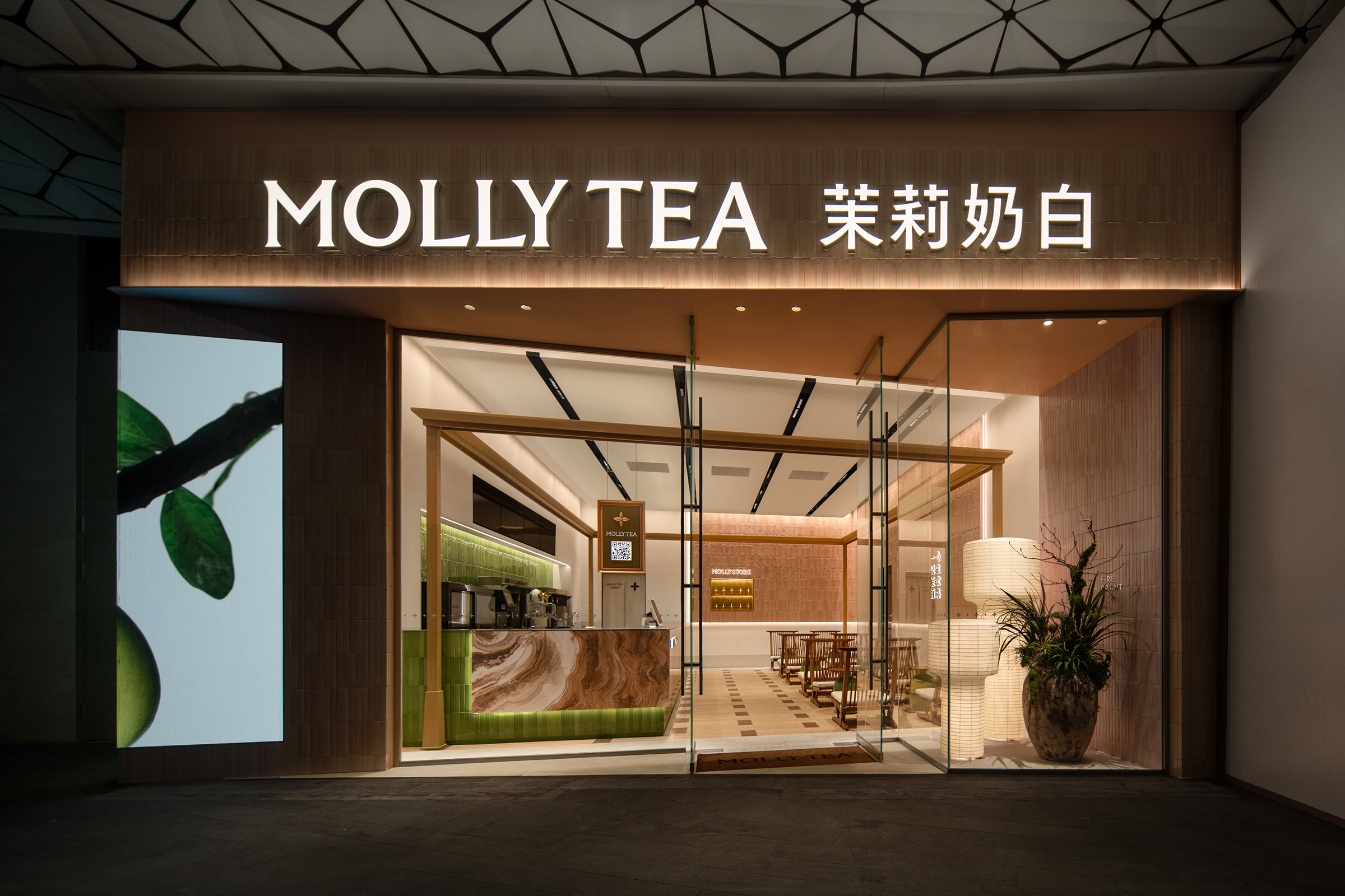 MOLLY TEA