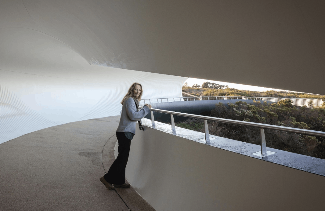 Blowhole Lookout project
