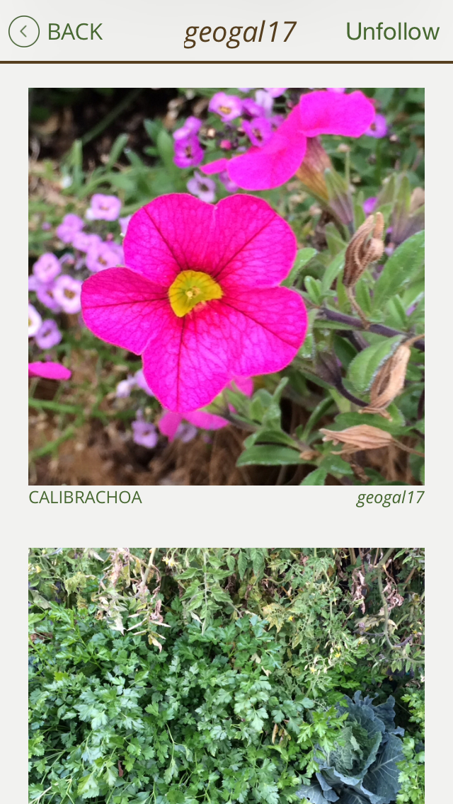 GrowIt! - Gold Winner - 2014 US Mobile & App Design Awards